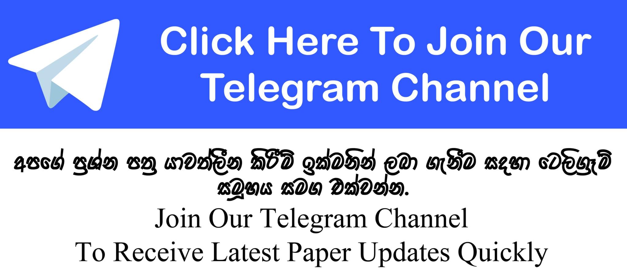 2023 (2024) Advanced Level Business Studies Past Paper (TM) - papermaster.lk